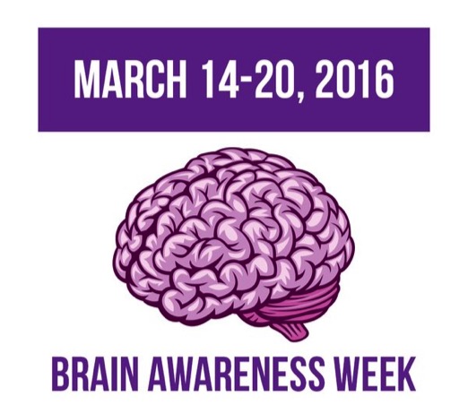 Discussing the brain… | Official site of the Laboratory for Brain ...